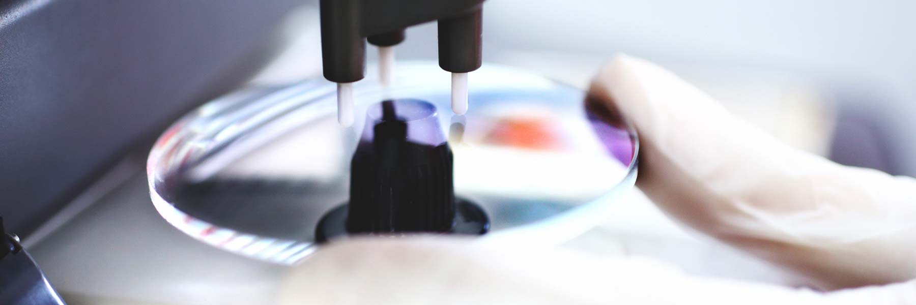 Coatings for Lite Range lenses | Banton Frameworks