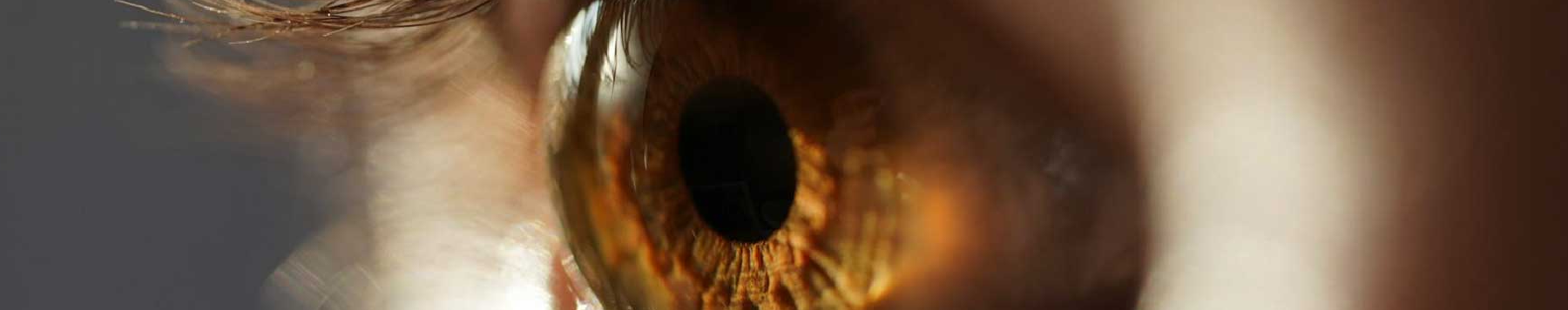 Amber Eyes: Rare Facts About This Stunning Eye Color – Banton Frameworks